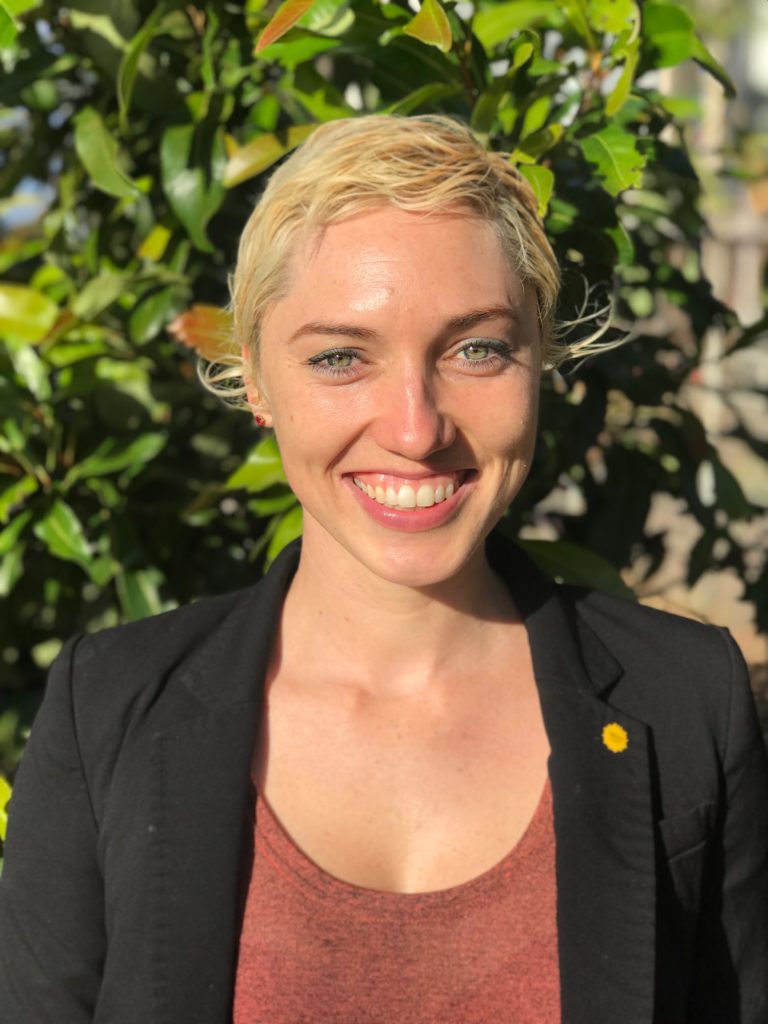 Interview: “It’s all about controlling the hydrogen” – pv magazine ...