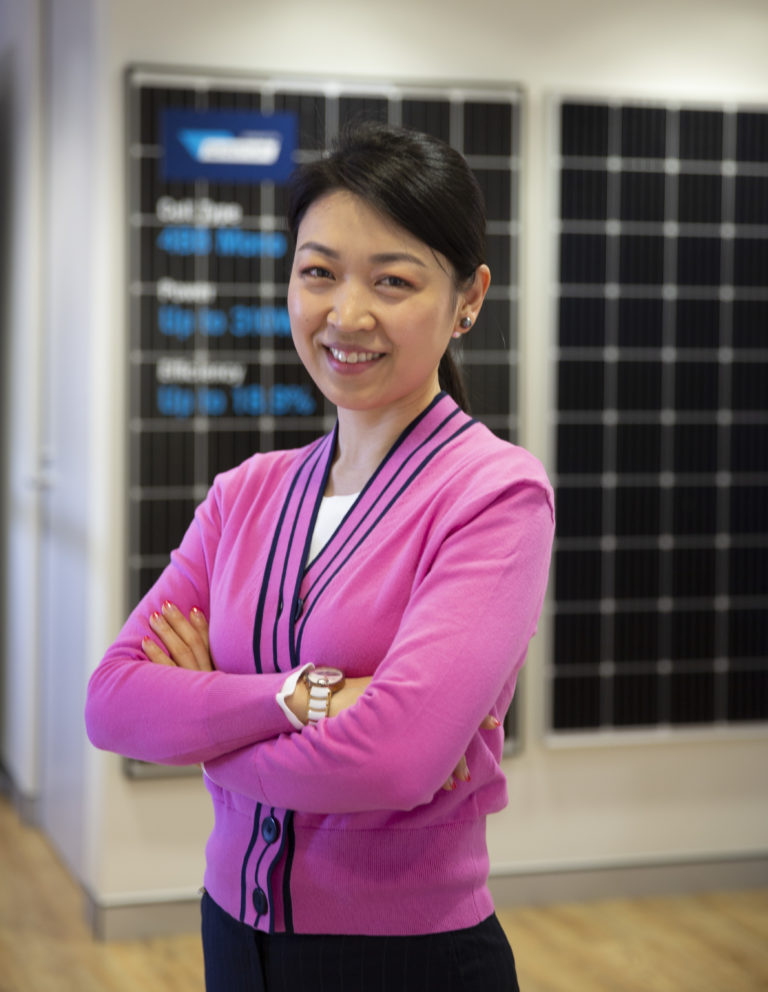 Kudos, PV solutions for the masses and IP wars: the importance of being ...