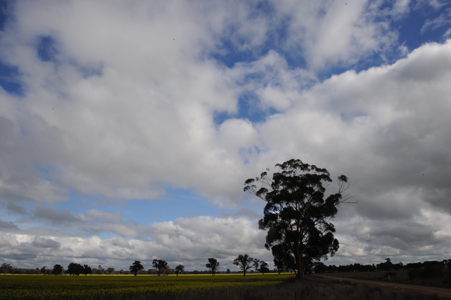 Fotowatio confirms finance for Victoria’s Winton Solar Farm and funding ...