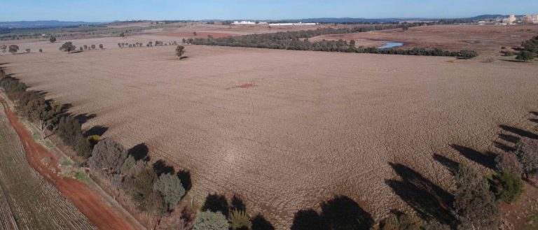 Wagga Wagga goes solar solar – pv magazine Australia