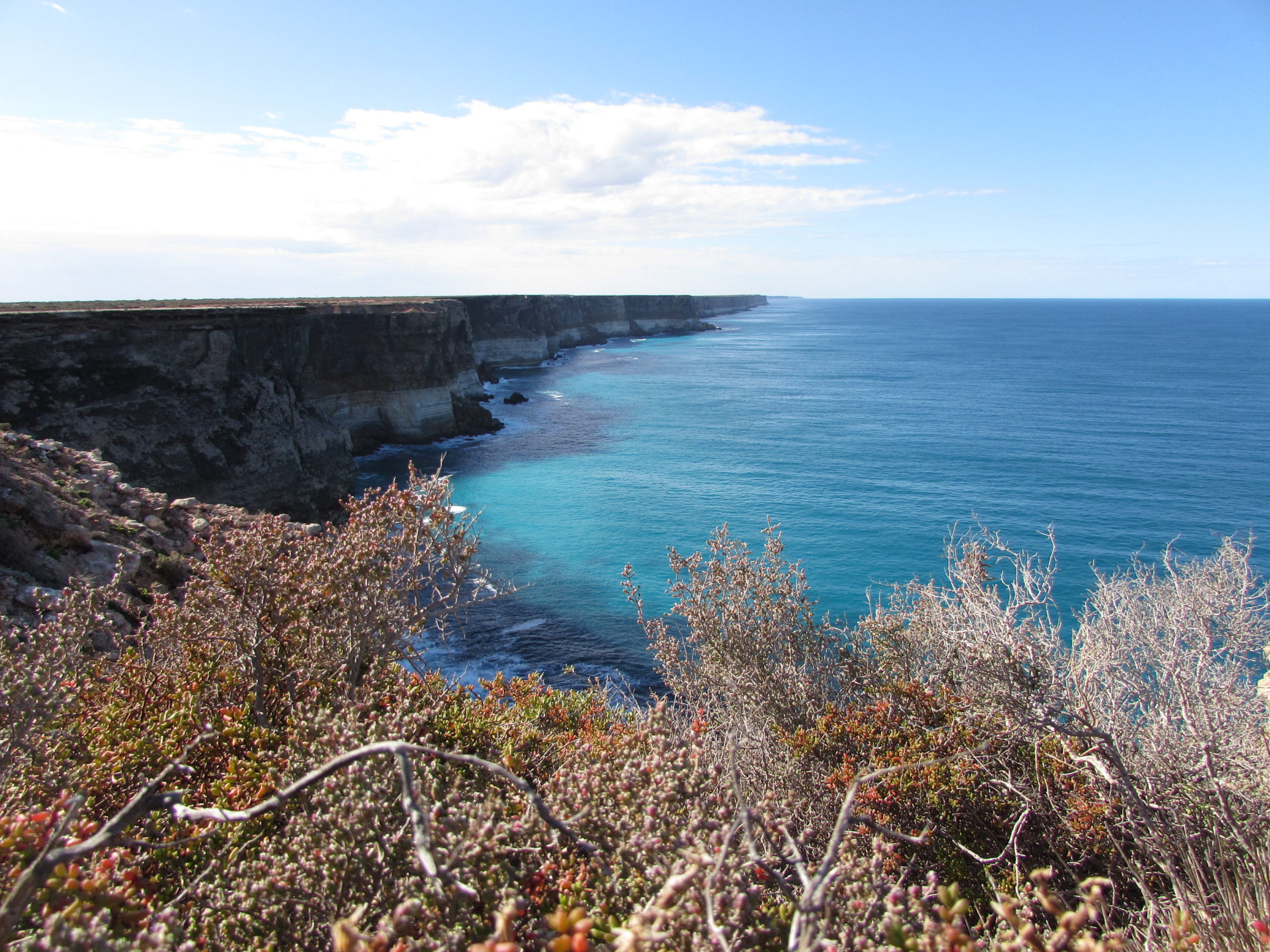 Another one Bights the dust – pv magazine Australia