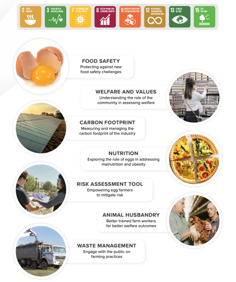 Sunny side up? Australia’s egg industry gets a solar boost – pv ...