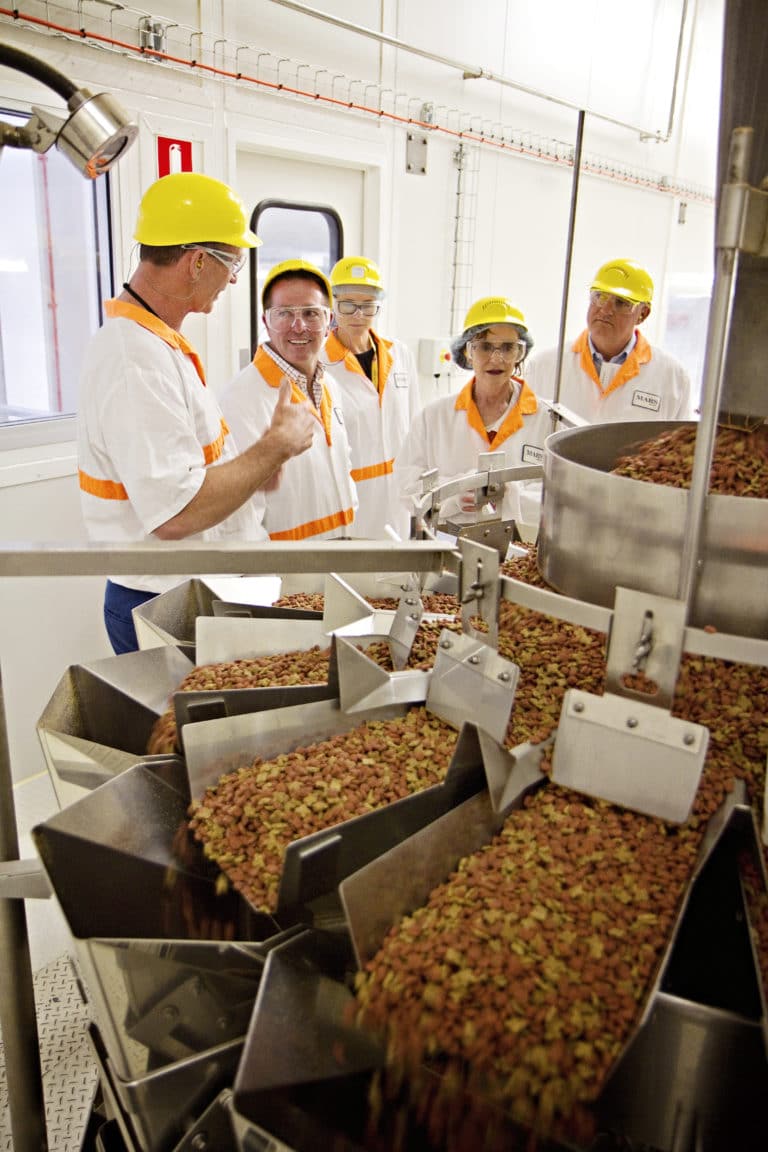 Mars switches to solar to help it work, rest and play – pv magazine ...