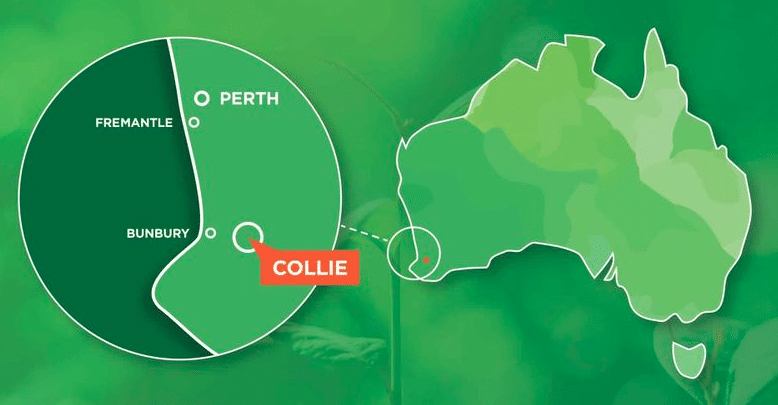 Neoen wins WA’s Collie big battery tender, moves into long-duration ...