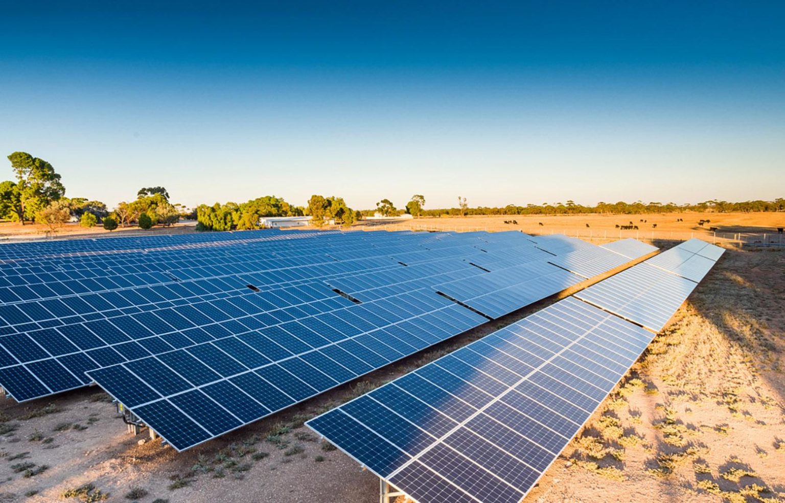 Roseworthy solar farm looms as high achiever for Adelaide university ...