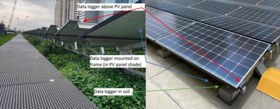 Green roof improves solar panel efficiency by 3.6% on average, study ...