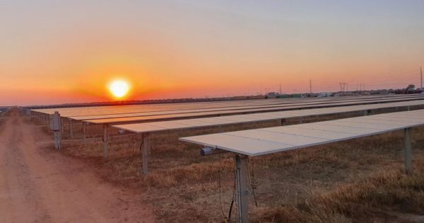 Australia’s biggest solar farm opts for AI-powered bidding platform ...