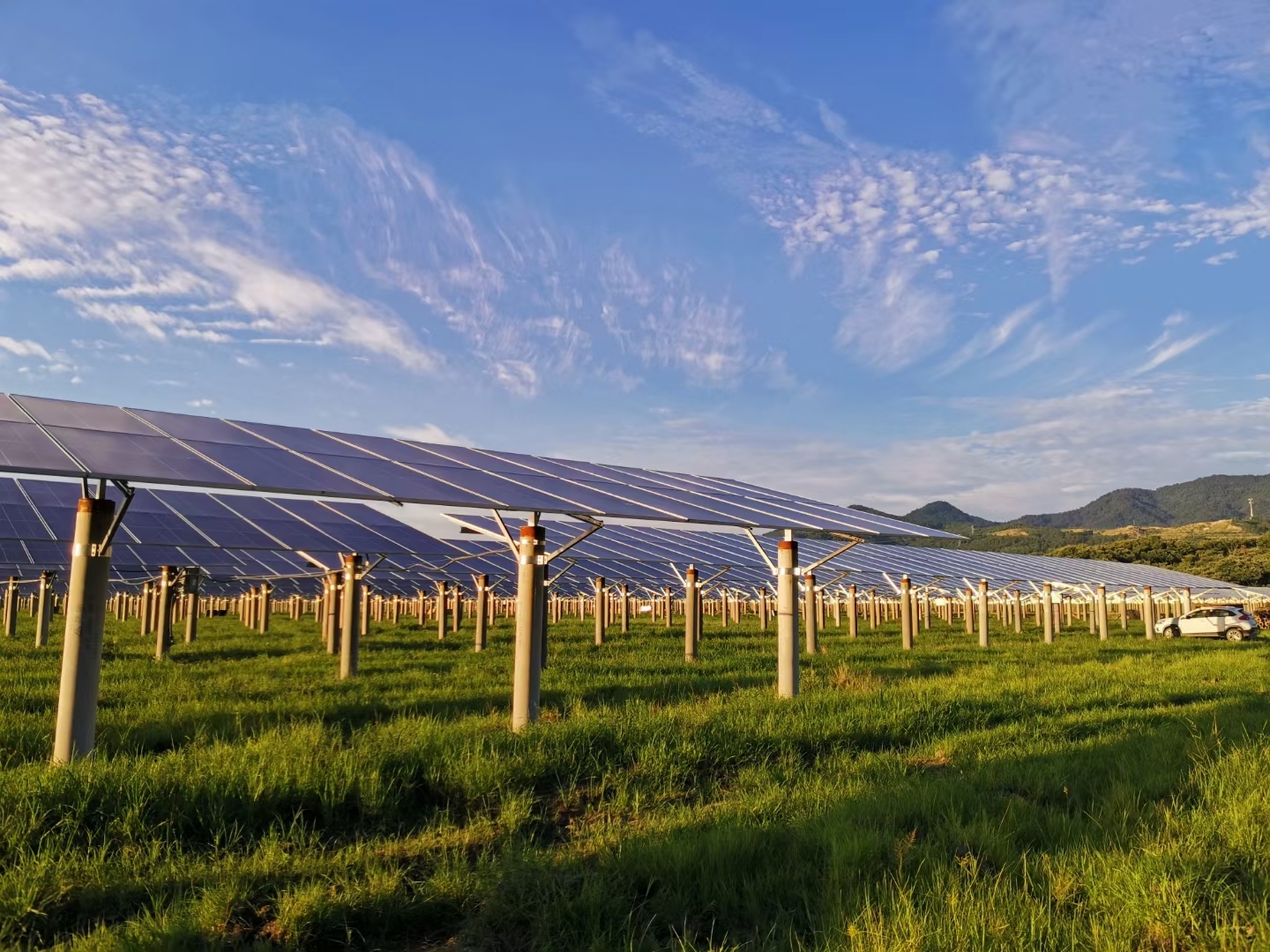 Trina pivots to meet the needs of challenging utility-scale solar farm ...
