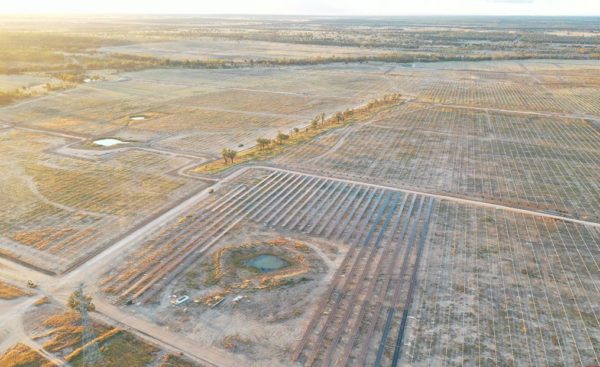 X-Elio reaches financial close on 200 MW solar farm as CEFC commits $37 ...
