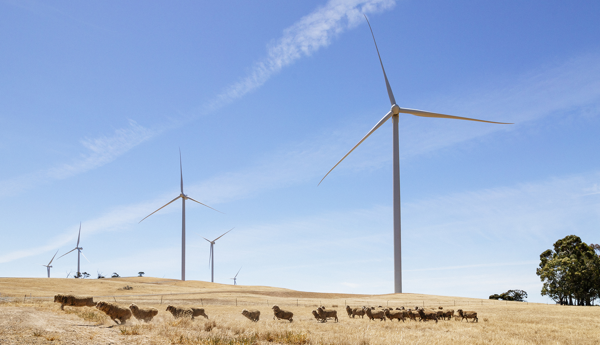 Neoen’s 204MW/34MWh Bulgana project points to co-located renewables ...