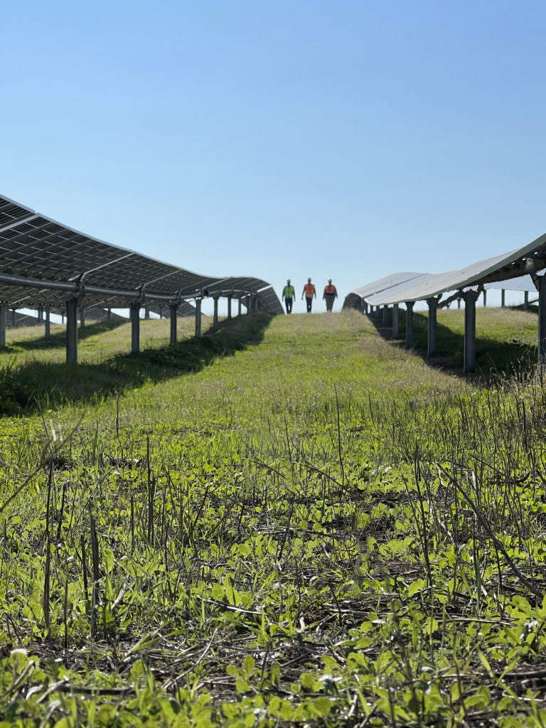 New ‘adaptive’ trackers for tricky terrain to cut both project cost and ...