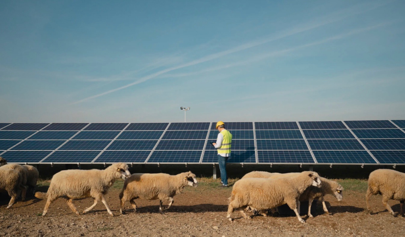 Google exec backs Helios Energy’s New Zealand solar pipeline – pv ...