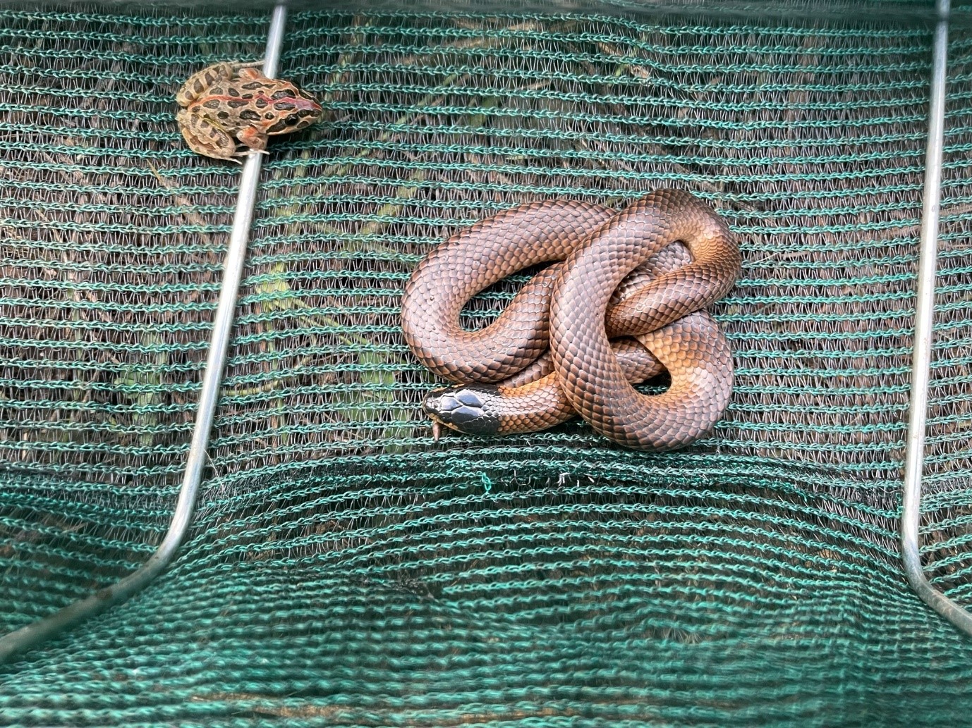 University’s own PV plant plays host to study into large-scale solar’s ...