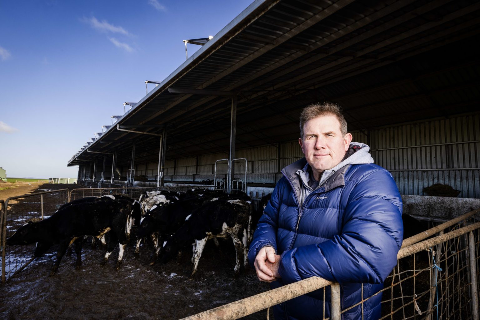 Australian storage gets Victorian dairy farm to 95% renewables, saving ...
