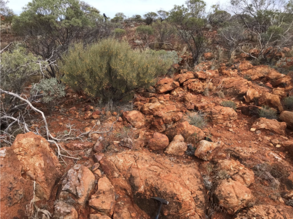 ‘New lithium province’: miners find significant lithium potential in WA ...