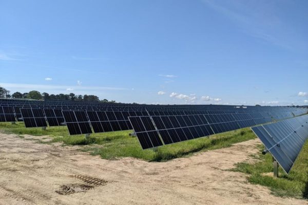 FRV Australia achieves 100% capacity with 115 MW solar farm – pv ...