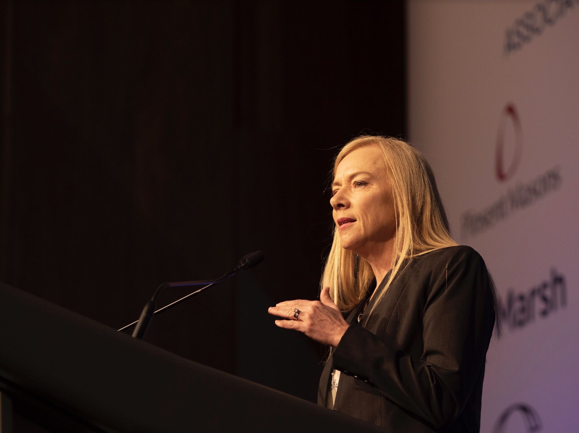 AEMO on track with ‘world-first’ grid connections simulator – pv ...