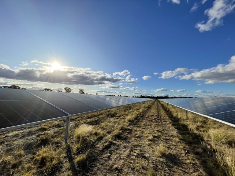 PVH’s success in Australia: ‘There are no obvious choices for us’ – pv ...