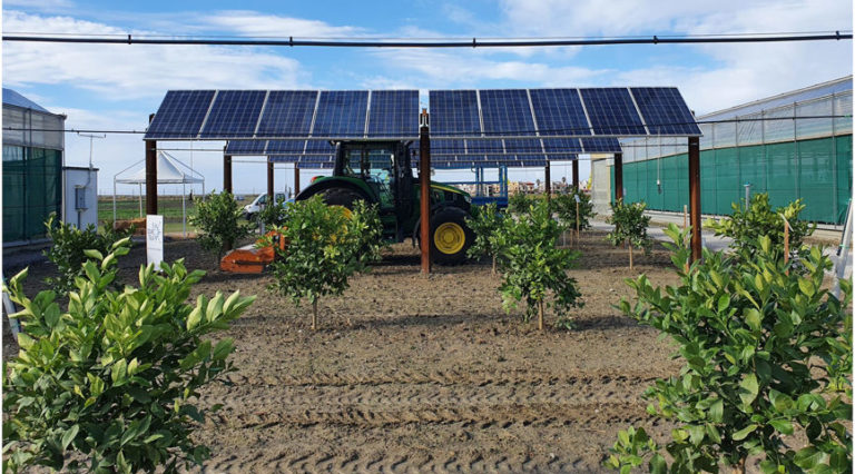 Adapting agrivoltaics to different climates, crops – pv magazine Australia