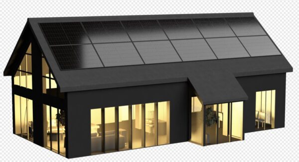 DAS Solar unveils n-type bifacial module for Australian market – pv ...