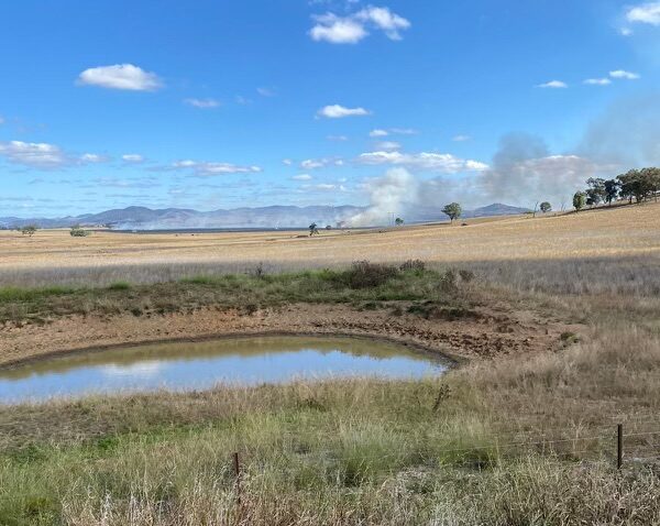 Fire at NSW solar farm – pv magazine Australia