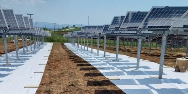 Membrane boosts bifacial solar module yield by 6.4% – pv magazine Australia