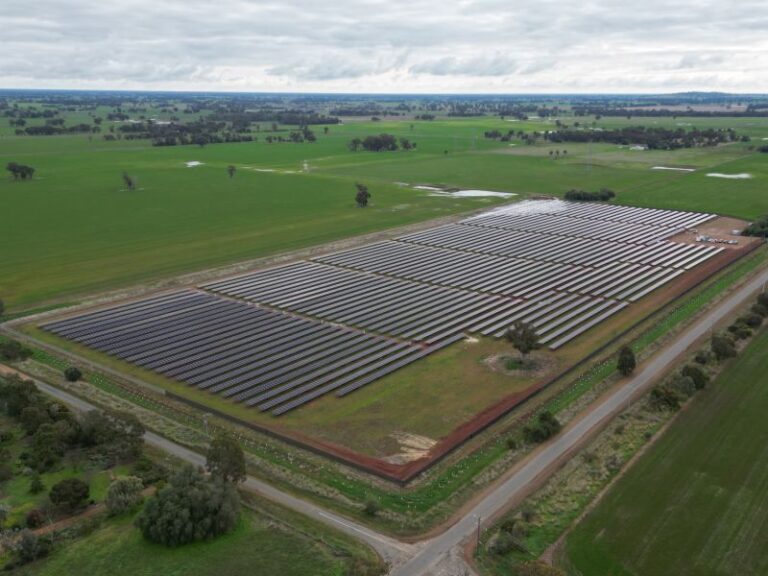Bison commences commissioning phase with Cosgrove Solar Farm – pv ...