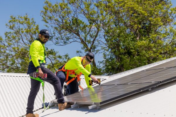 Interview: Guiding consumers to make smart solar decisions – pv ...