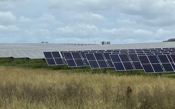 Genex names EPC contractor for 775 MW solar project – pv magazine Australia