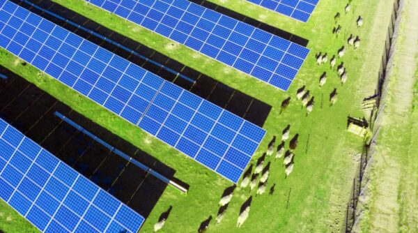 Harmony syncs with First Renewables on 150 MW NZ solar farm – pv ...