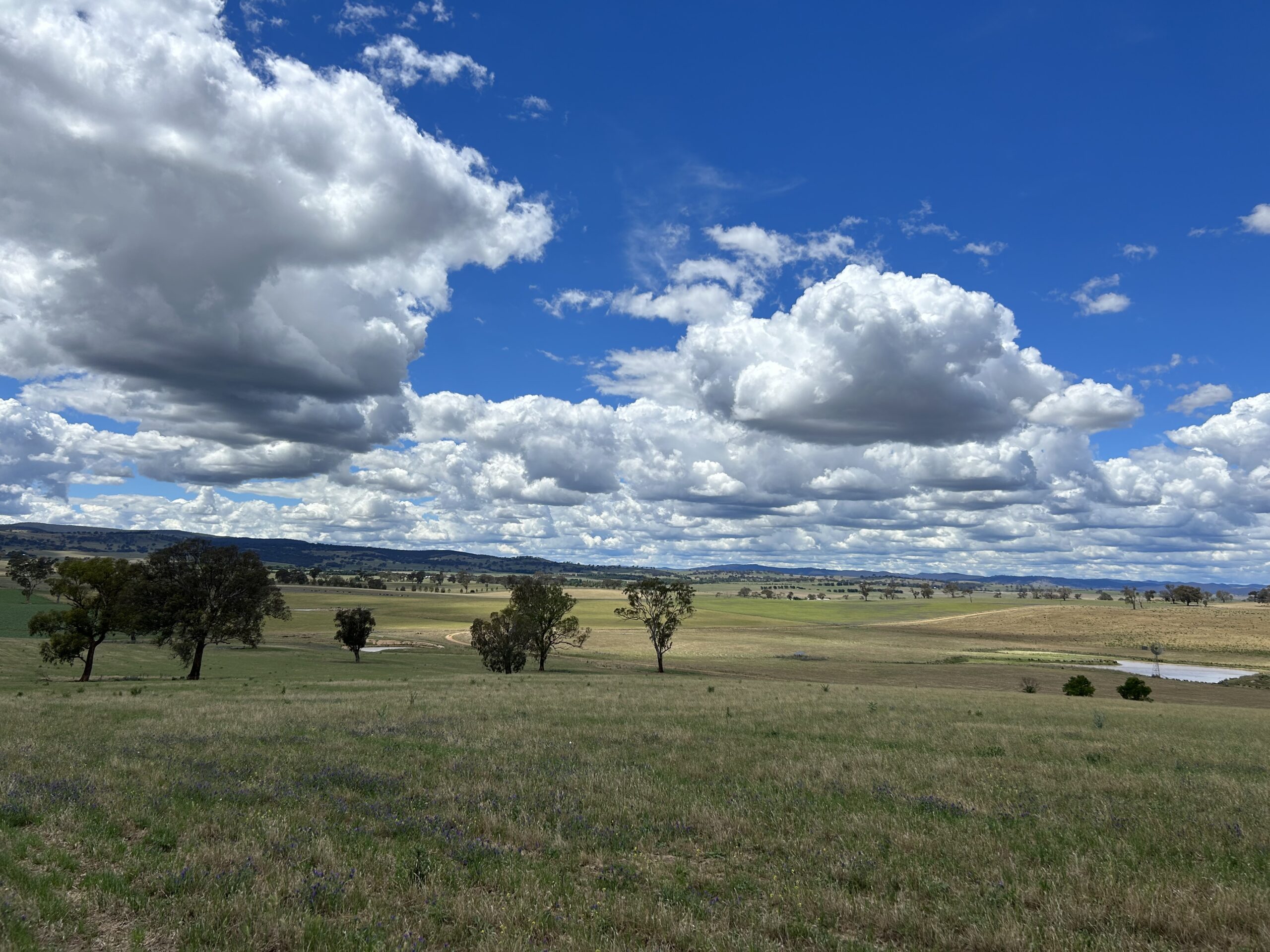 Elgin gets go-ahead for Glanmire solar and storage project – pv ...