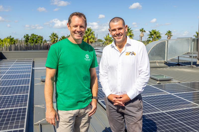 Sydney Zoo teams with EnergyAustralia for rooftop solar solution – pv ...