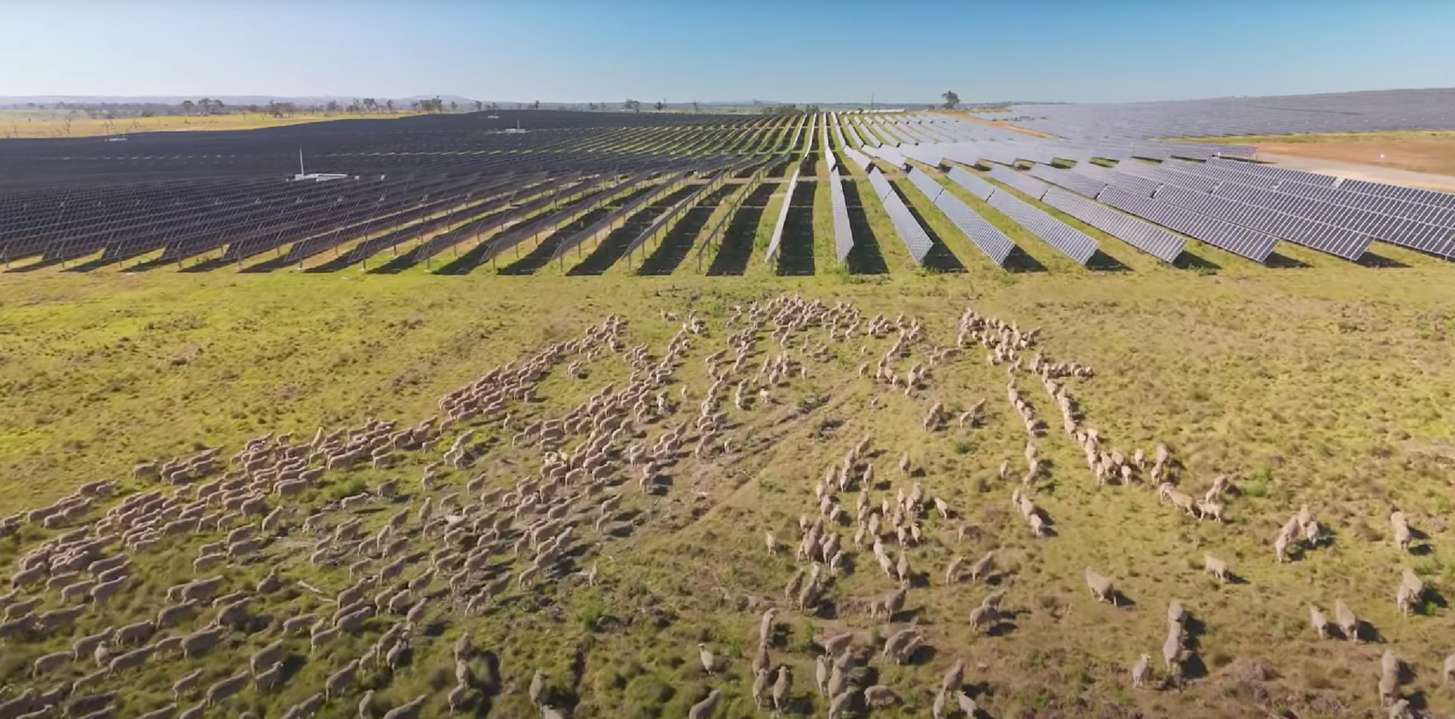 Grass is greener on Acen’s New England Solar Farm – pv magazine Australia
