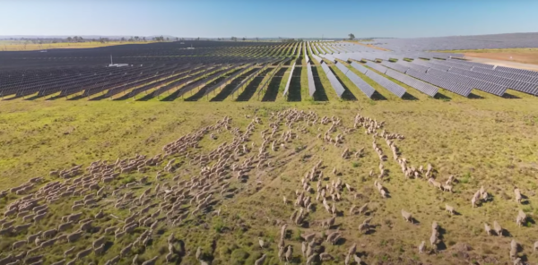60 MW Shady Creek Solar Farm wins development approval – pv magazine ...