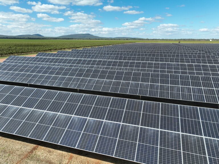 Winemaker uncorks 5.6 MW solar farm to power NSW vineyard – pv magazine ...