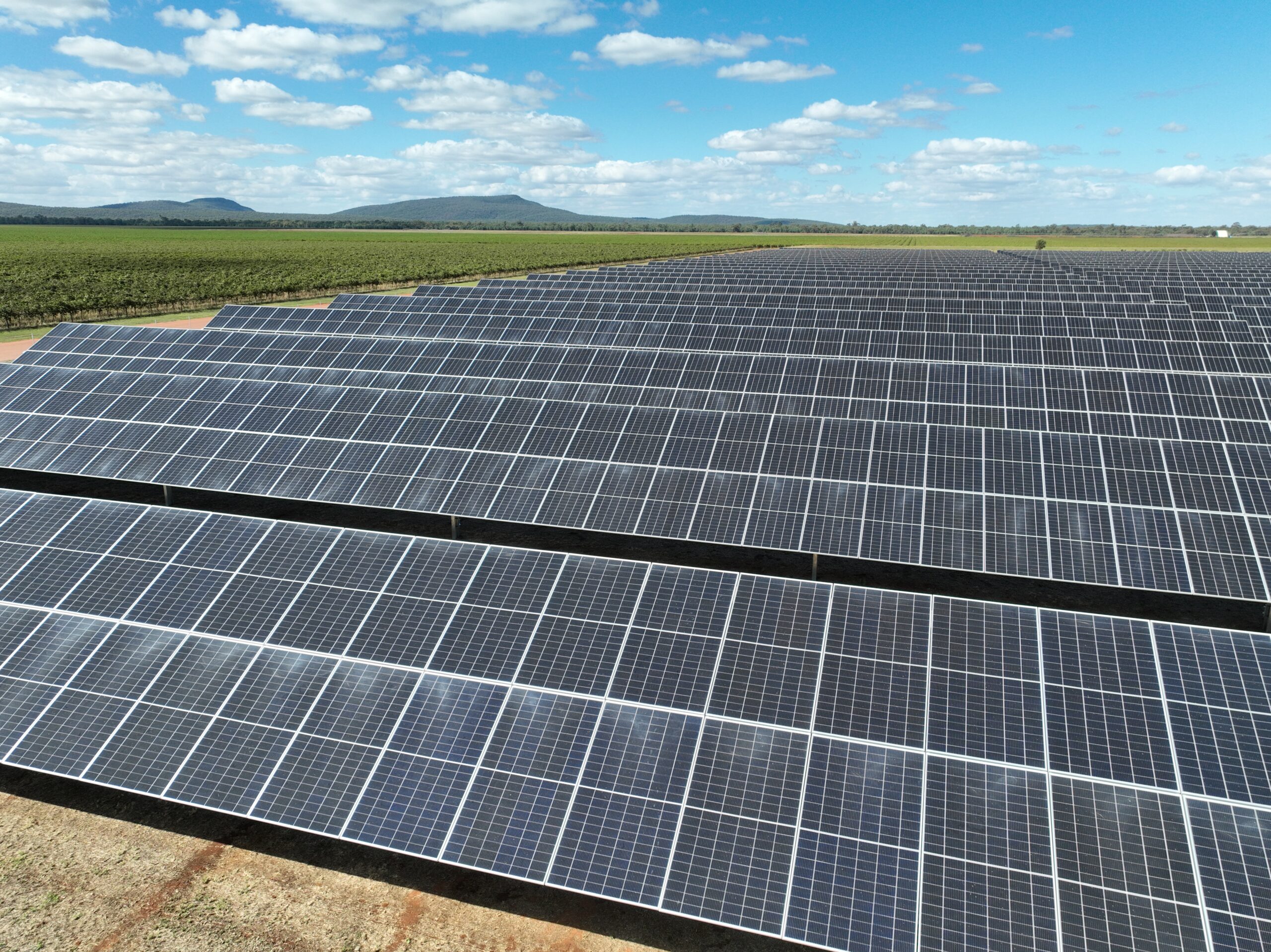 Winemaker uncorks 5.6 MW solar farm to power NSW vineyard – pv magazine ...