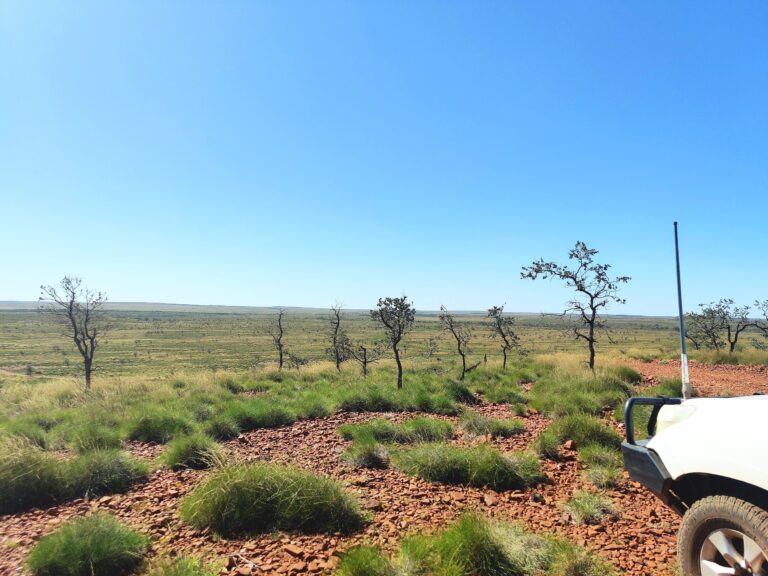 Traditional land owners push ahead with 3 GW mega project in WA’s ...