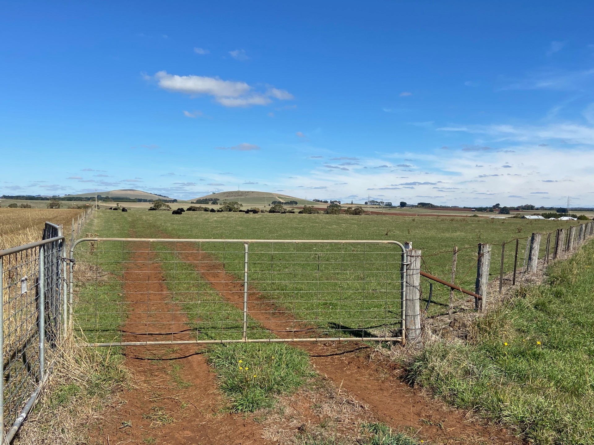 Elgin gets green light for biggest solar and storage project to date ...