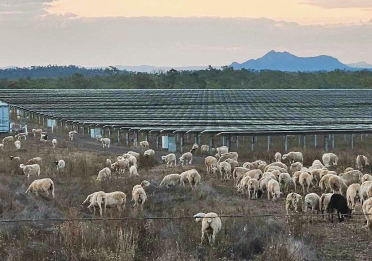 Edify plans solar and storage complex near Queensland coal plant – pv ...