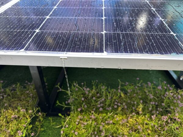 pv magazine Australia – Photovoltaic Markets and Technology