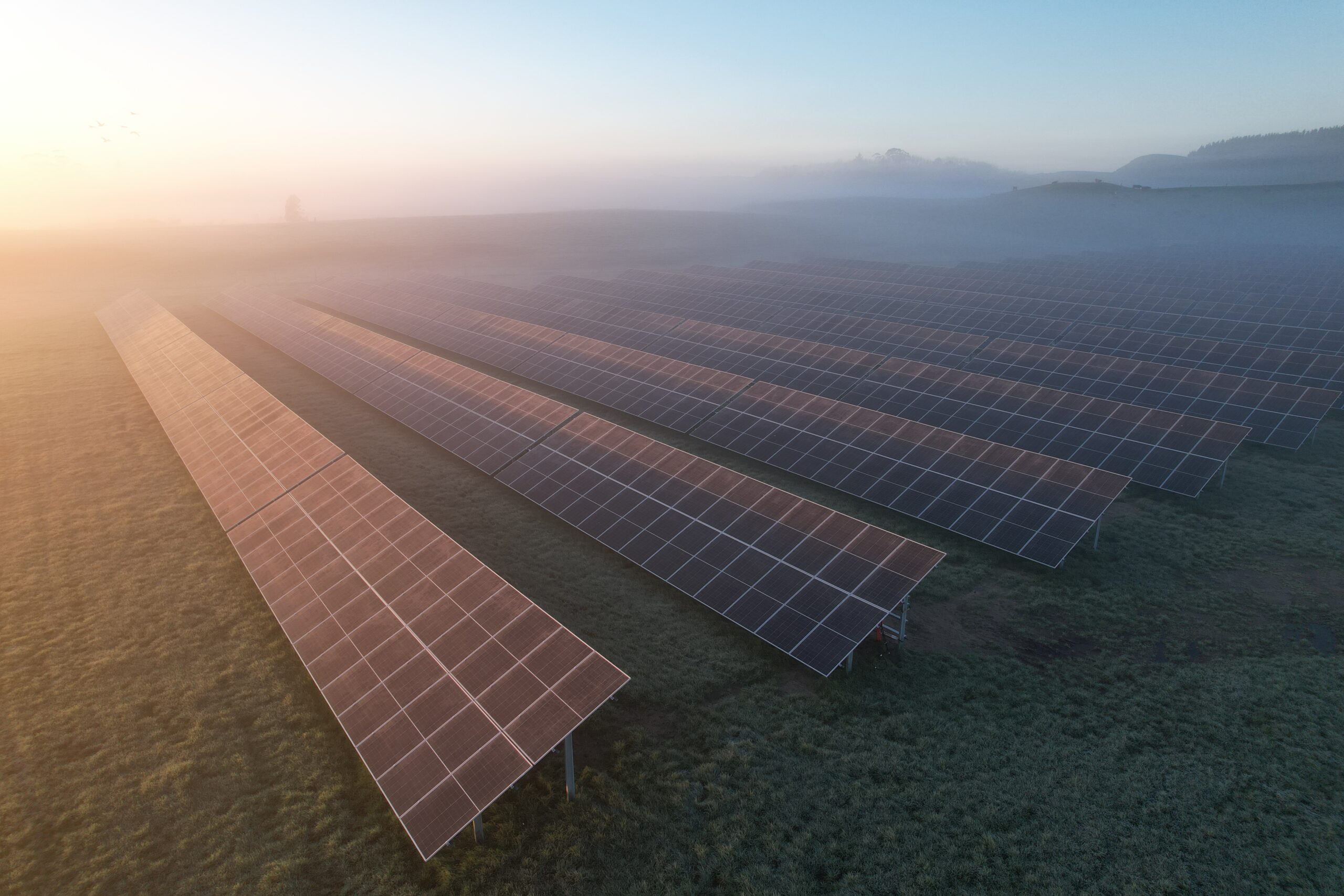 Trinasolar develops agrivoltaic site with Kiwi clean energy solutions ...