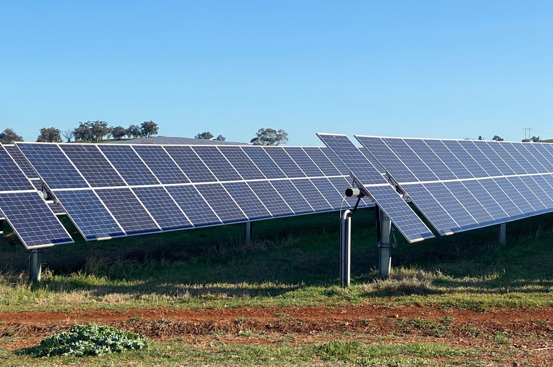 X-Elio seeks green light for 720 MW solar and battery project – pv magazine Australia