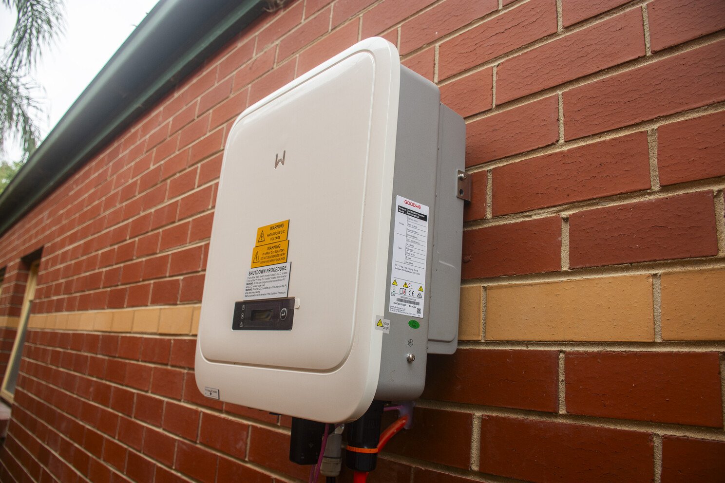 GoodWe powers Victorian wildlife rescuers with donated solar system ...