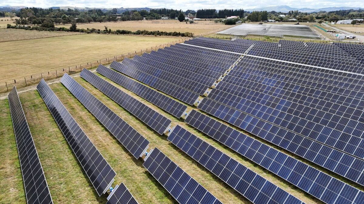 Demand for agrivoltaic projects in New Zealand growing – pv magazine ...