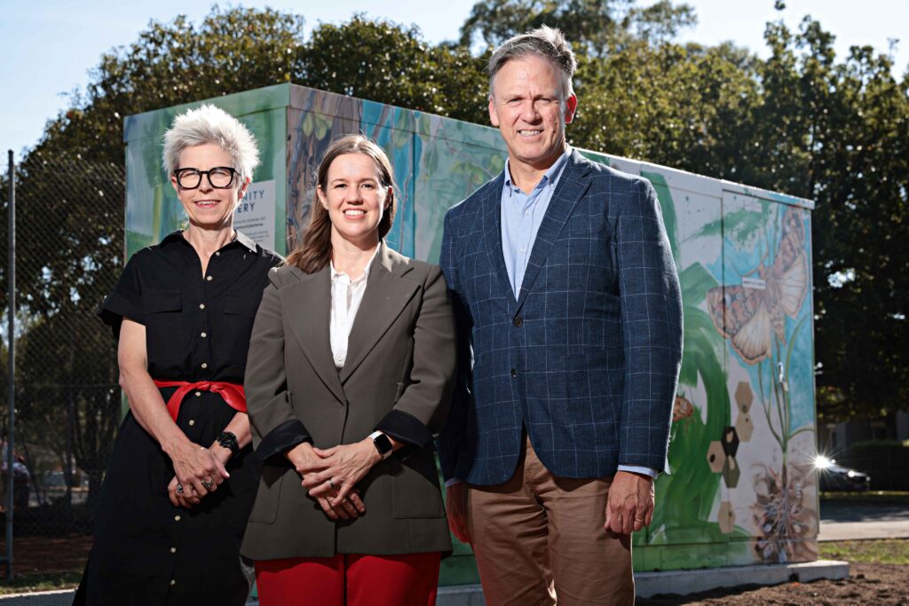 Jemena adds community batteries as part of prep for rooftop solar influx – pv magazine Australia