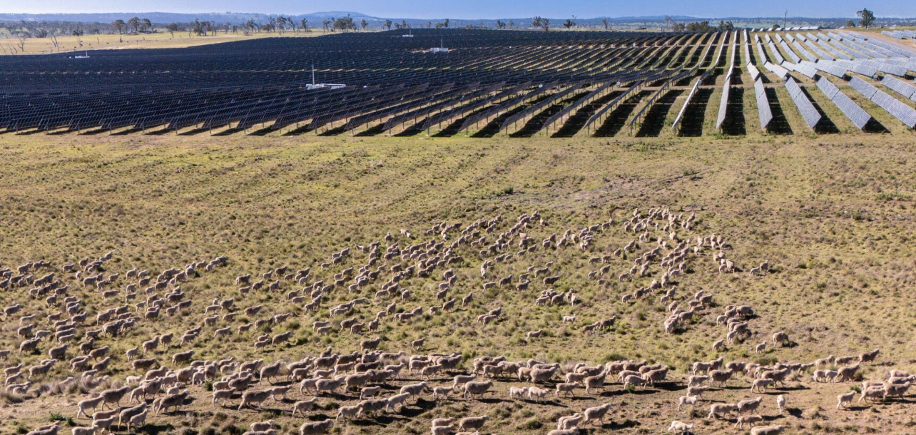 A decade of solar energy supply secured for ZEN Energy deal with BOC ...