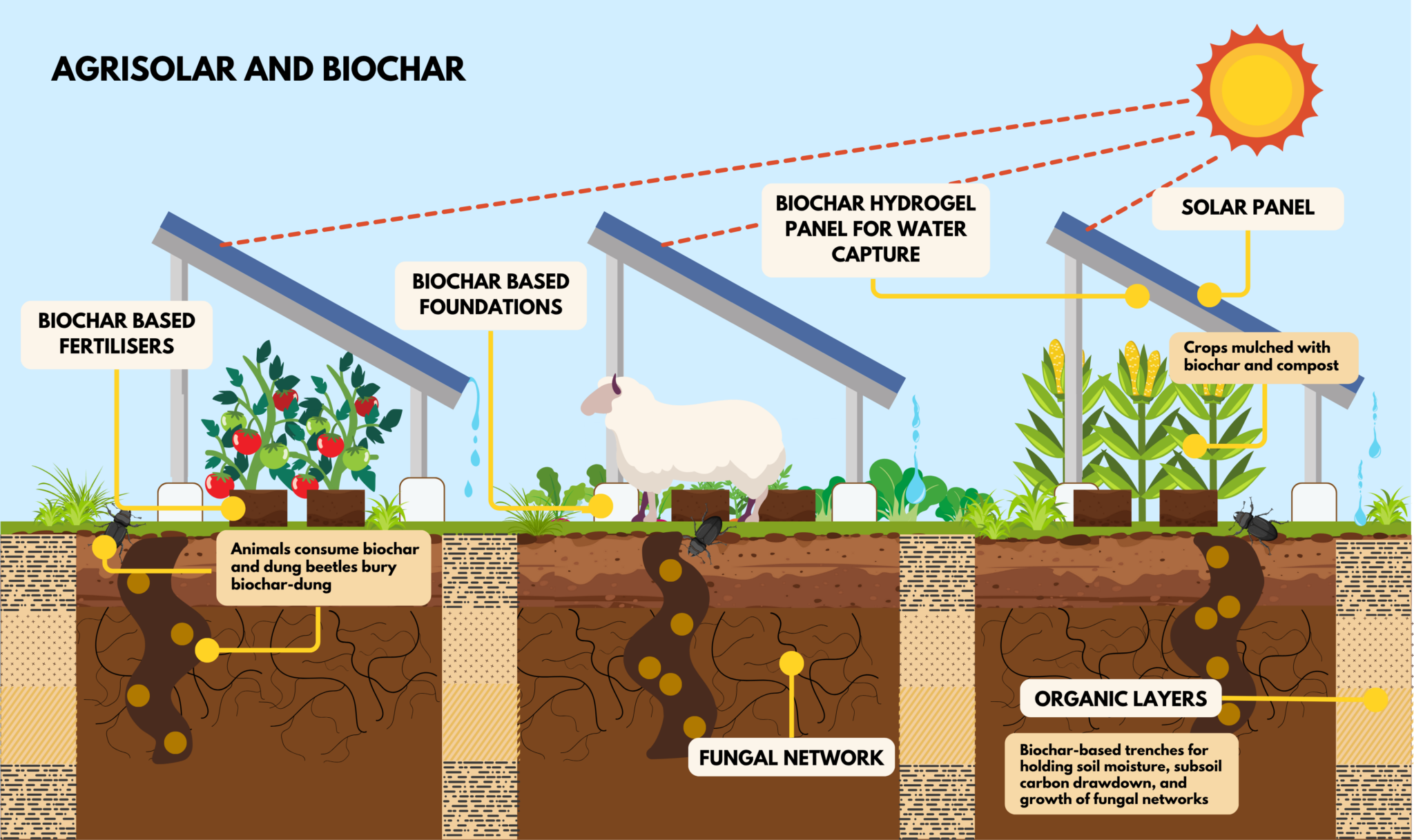 Farming stakeholder coalition bids for national agrisolar research centre – pv magazine Australia