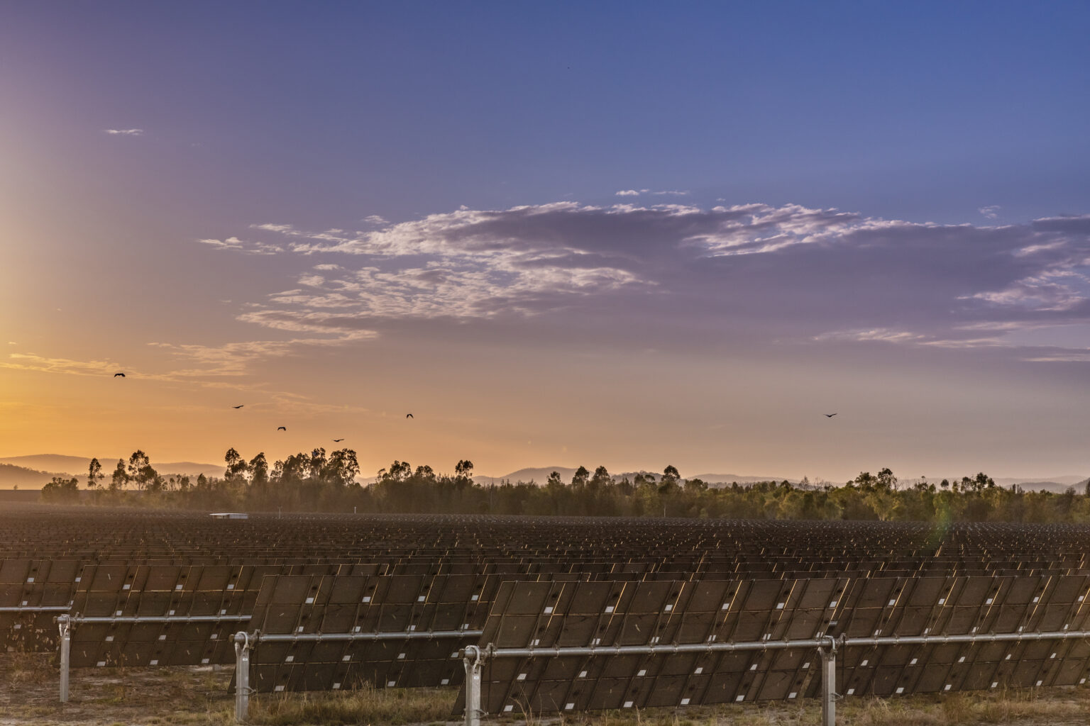 Flow Power introduces Australia’s first technology-integrated ...