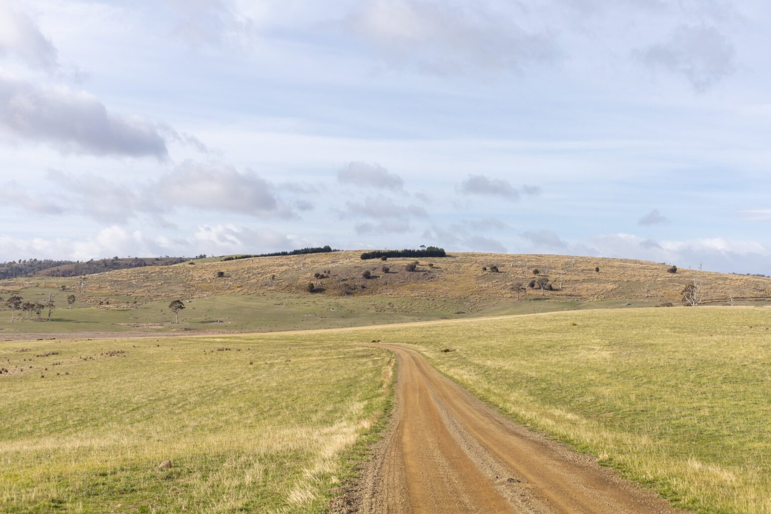 Malaysian giant teams with Tasmanian landowners on 1.2 GW portfolio – pv magazine Australia