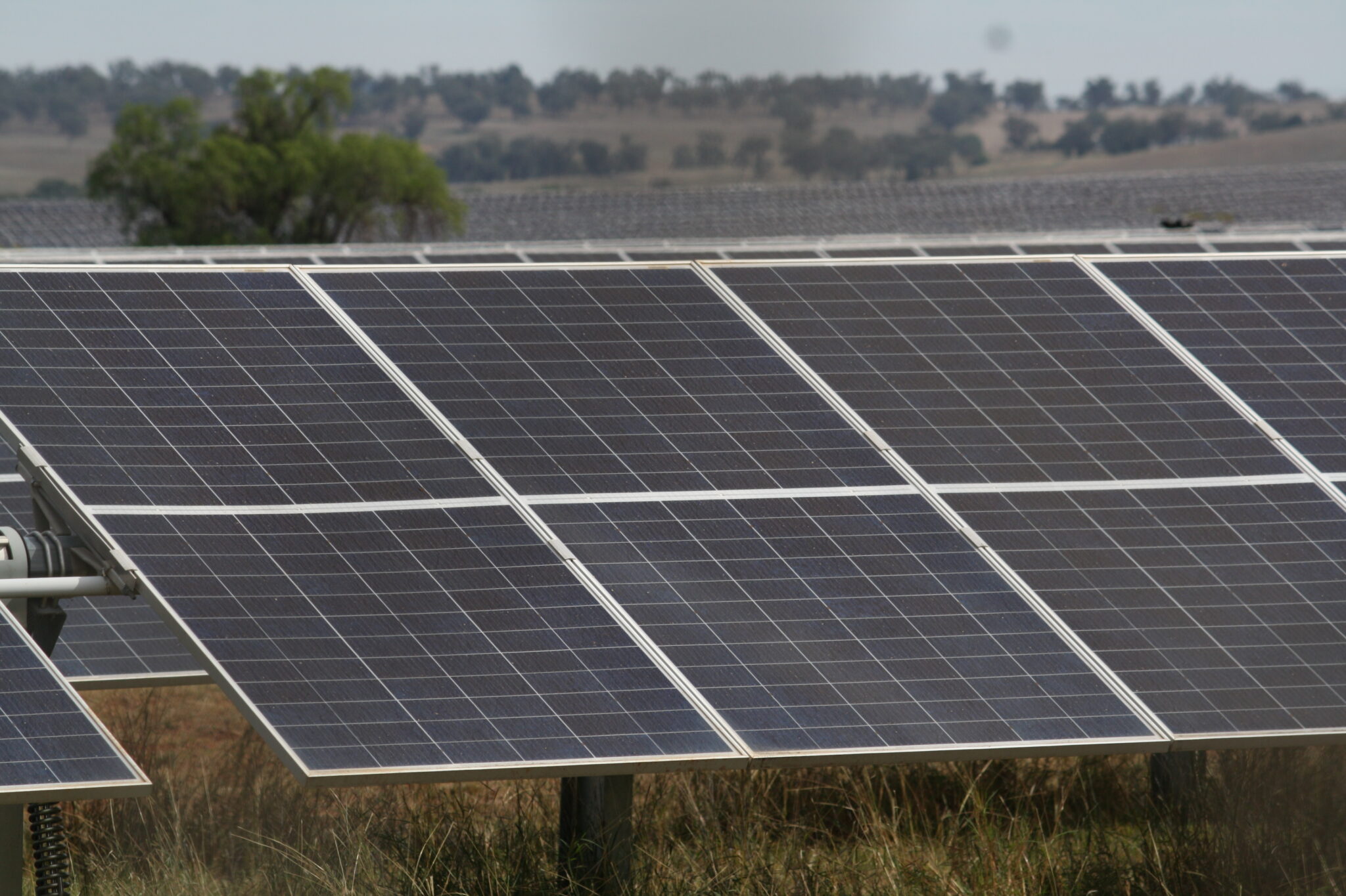 AEMO forecasts increased solar curtailment in NEM – pv magazine Australia